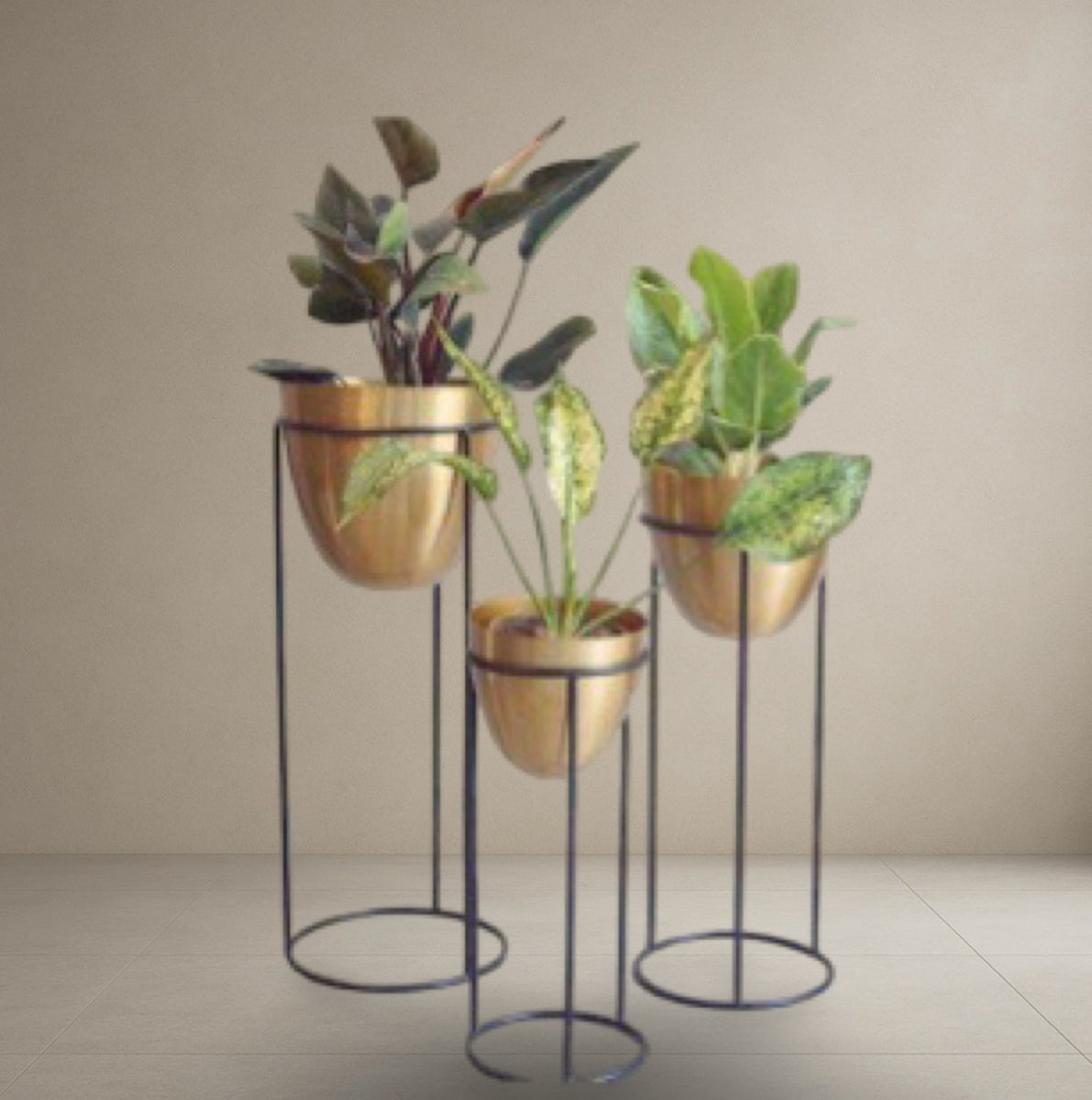 Golden Cascade Trio – Pots Theory